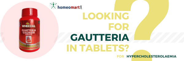 Guatteria Gaumeri (Yumel), Homeopathy medicine for high Cholesterol ...
