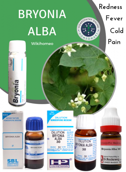 Compendious on Bryonia Alba: Indications, Benefits, Side Effects ...