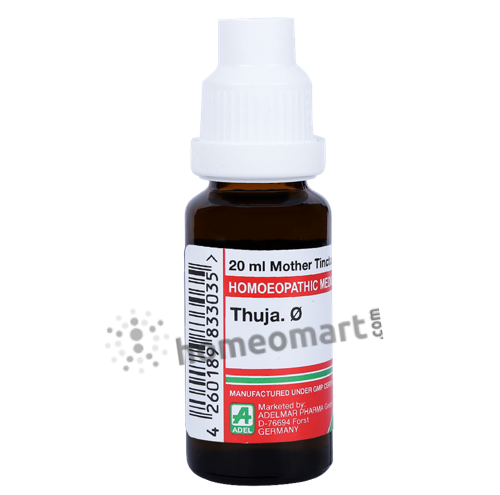 Thuja Occidentalis Homeopathy Mother Tincture Q - Homeopathy Remedies ...