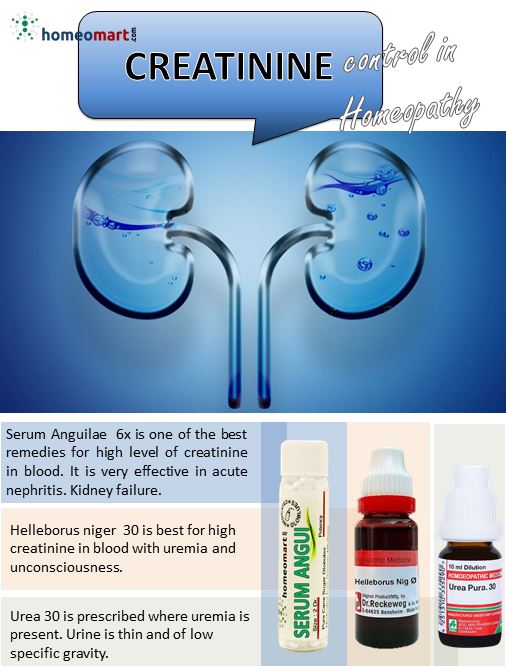 Medications For High Creatinine Levels – WUTTL