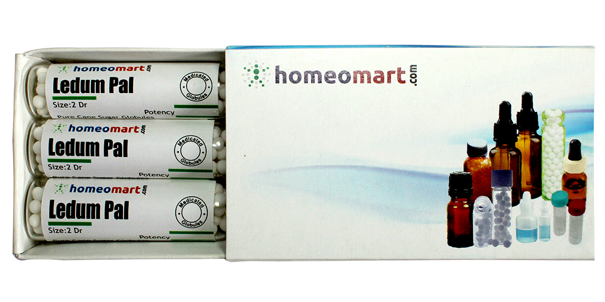 Homeopathy Ledum Pal 2 Dram Pills 6C, 30C, 200C, 1M, 10M – Homeopathy ...